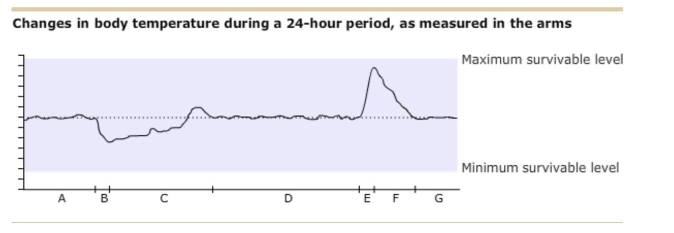 [SOLVED] The letters along the graph note different periods. Identify ...