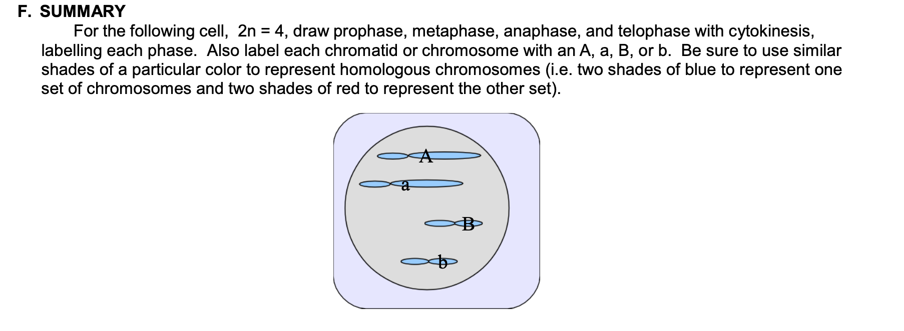 [Solved] F. SUMMARY For the following cell, 2n = 4 | SolutionInn