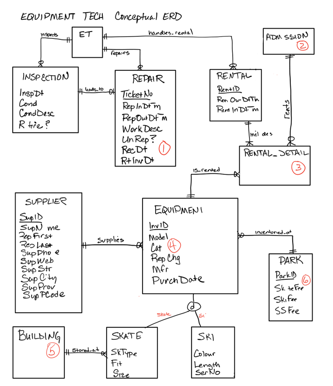 [Solved] Consolidate the three user-view ERDS into | SolutionInn