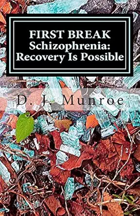 First Break Schizophrenia Recovery Is Possible D J Munroe 9781480210554 ...
