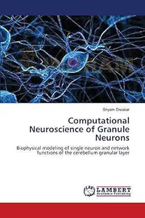 Computational Neuroscience Of Granule Neurons Biophysical Modeling Of ...