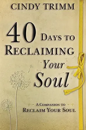 40 Days To Reclaiming Your Soul Dr Cindy Trimm 9780768404692 PDF ...