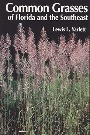Common Grasses Of Florida And The Southeast Lewis L Yarlett ...