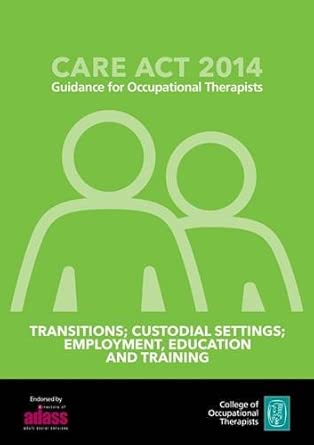 Care Act 2014 Guidance For Occupational Therapists Transitions ...